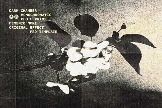 Dark Chamber Photo Print