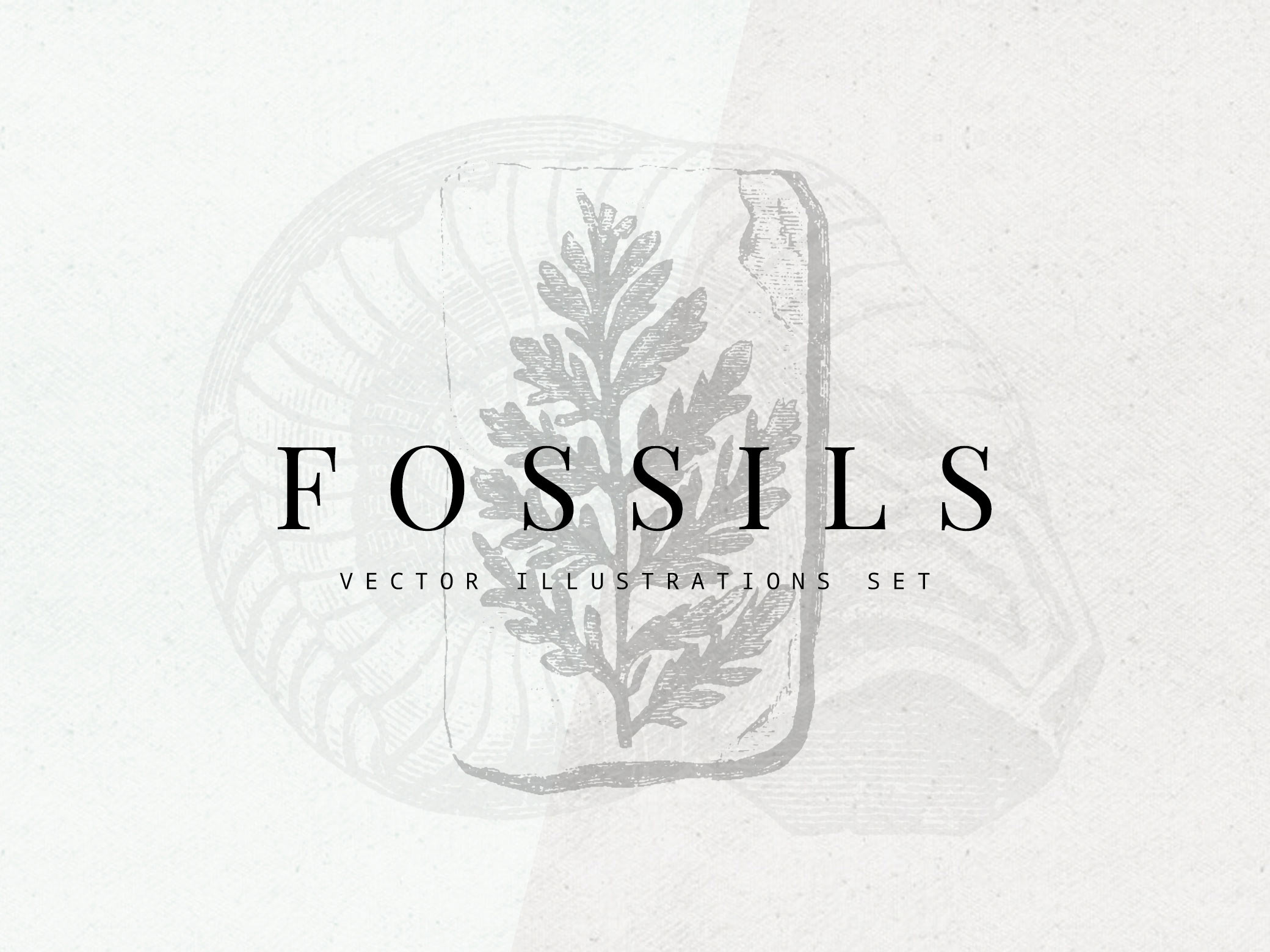 Fossils Vector Illustrations Set: download free graphics Fossils Vector Illustrations Set: download free graphics