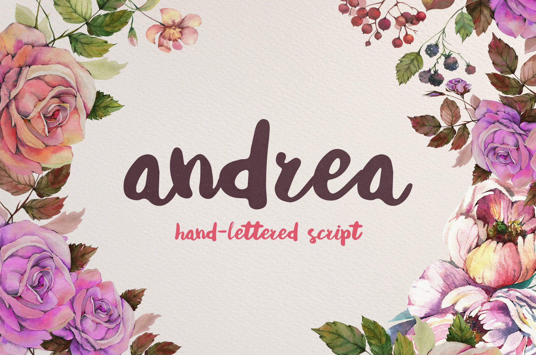 Andrea Free Script Font Download Decorative Typeface
