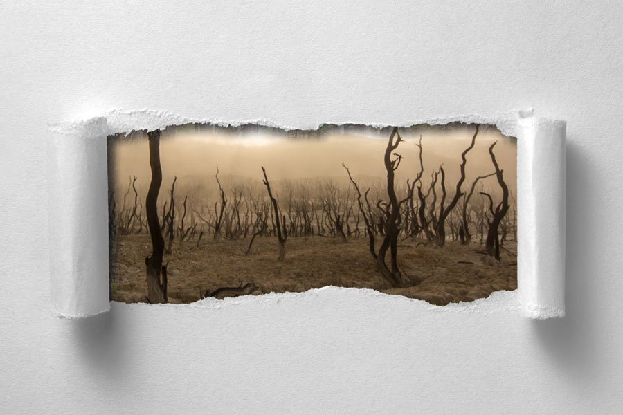 Photoshop Effect Tutorial: How To Make a Torn Image Overlay