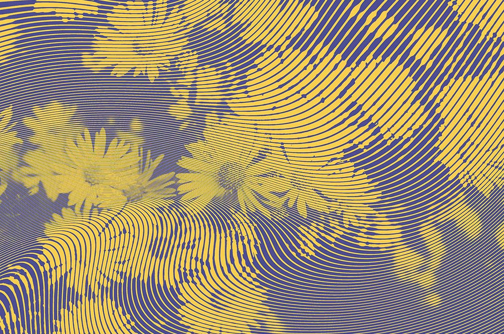 Download Wavy Lines Photo Effect