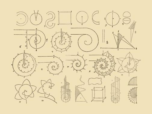 Squaring the Сircle Vector Assets