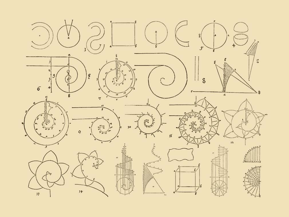 Squaring the Сircle Vector Assets