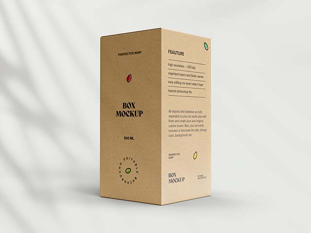 Download Craft Paper Box Mockup