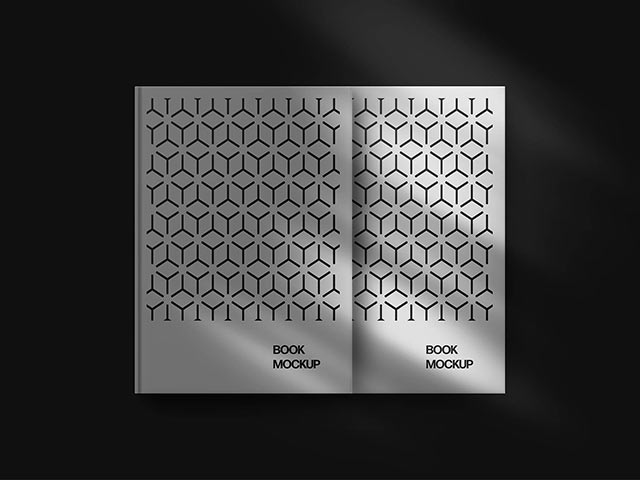 Download Book Mockup with Shadow Overlay
