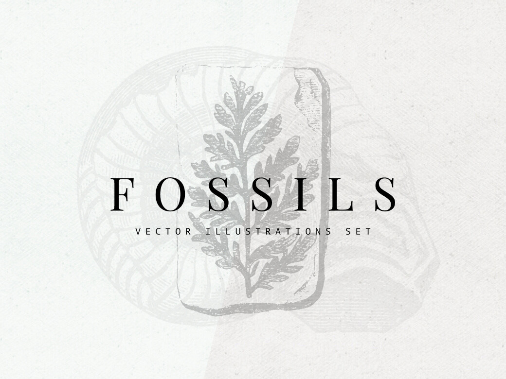 Fossils Vector Illustrations Set: download free graphics