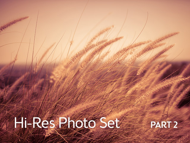 Download free photos in high resolution