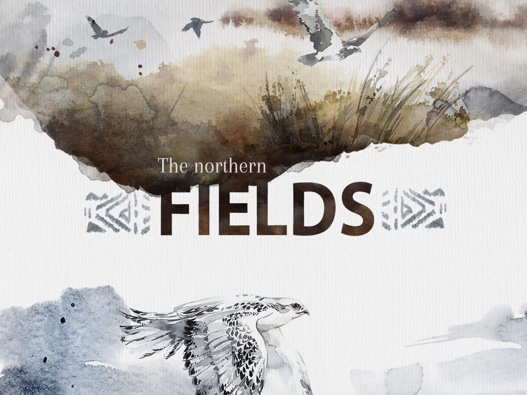 Northern fields illustrations: download watercolor set
