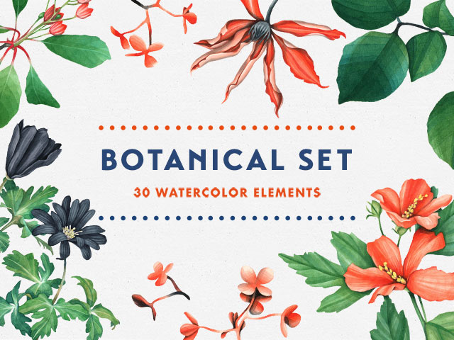 Botanical garden floral watercolor set — download flower illustrations