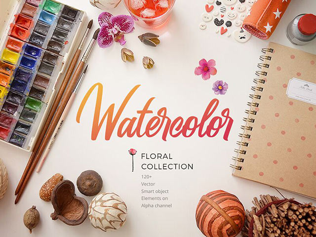 Watercolor flower illustration pack: wreaths & logos