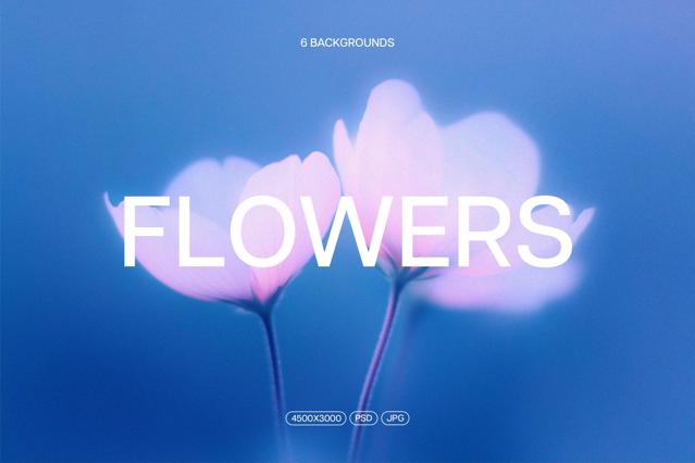 Download Abstract Blurred Flower Textures