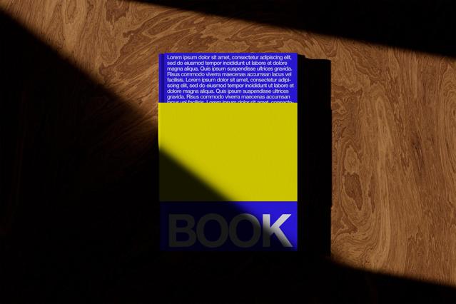 Download Standard Book Mockup