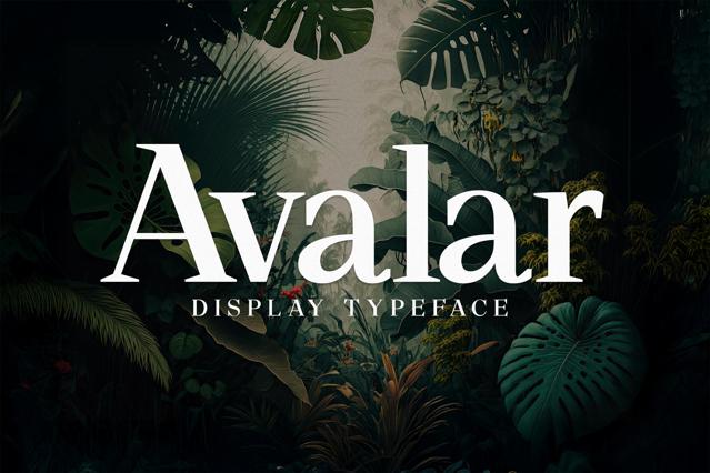 Avalar - Elegant Display