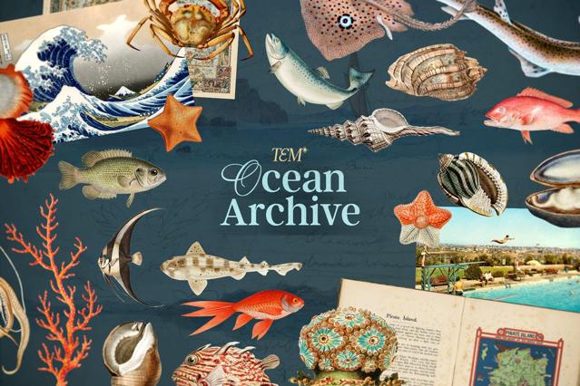 Oceanic Archive — Sea Elements Bundle